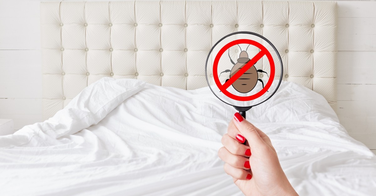 Hotel Bed Bug Prevention & Treatment | Source1 Purchasing